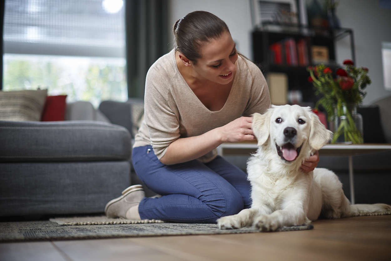 Пылесос Philips FC9728/01 купить | ELMIR - цена, отзывы, характеристики