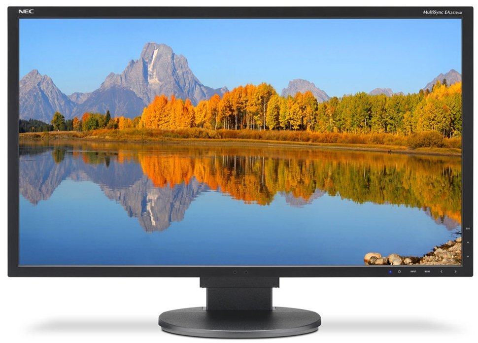 Монитор 24" NEC EA243WM Black (60003158) купить | Elmir - цена, отзывы ...