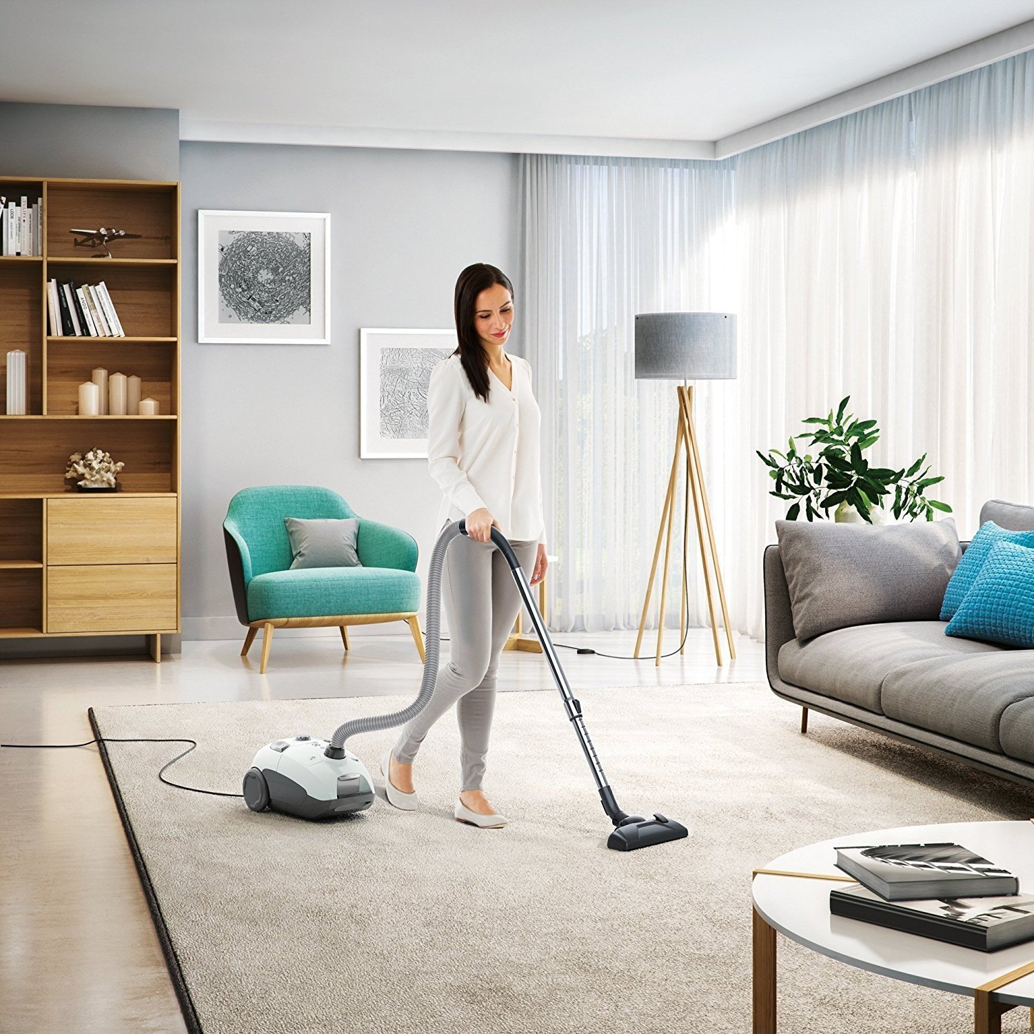 Пылесос Electrolux EEG41IW купить | ELMIR - цена, отзывы, характеристики
