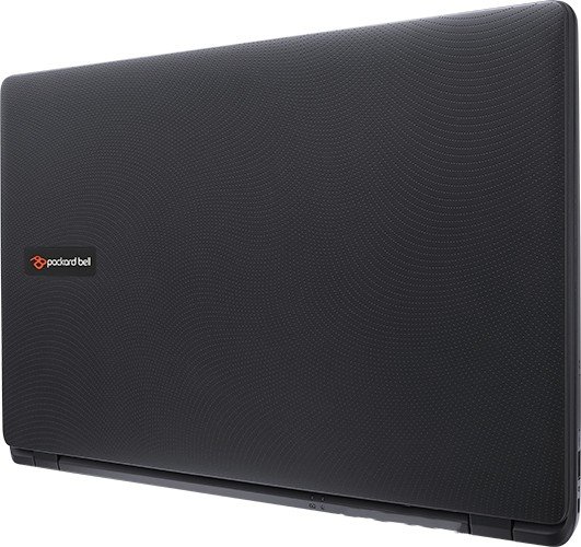 Ноутбук Packard Bell Easynote ENTG71BM-C38X (NX.C3UEU.001) купить ...
