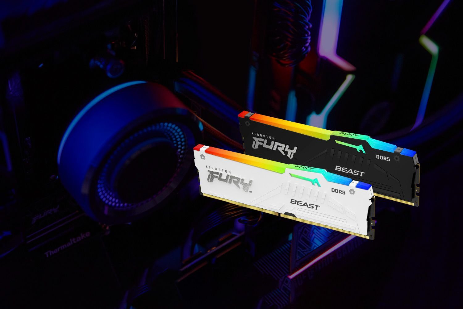 Модуль памяти Kingston Fury DDR5 16GB 5600MHz Beast White RGB (KF556C40BWA-16) купить | ELMIR ...
