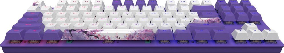 Клавиатура Dark Project One 87 Violet Horizons RGB ANSI ENG/UA (DPO87 ...